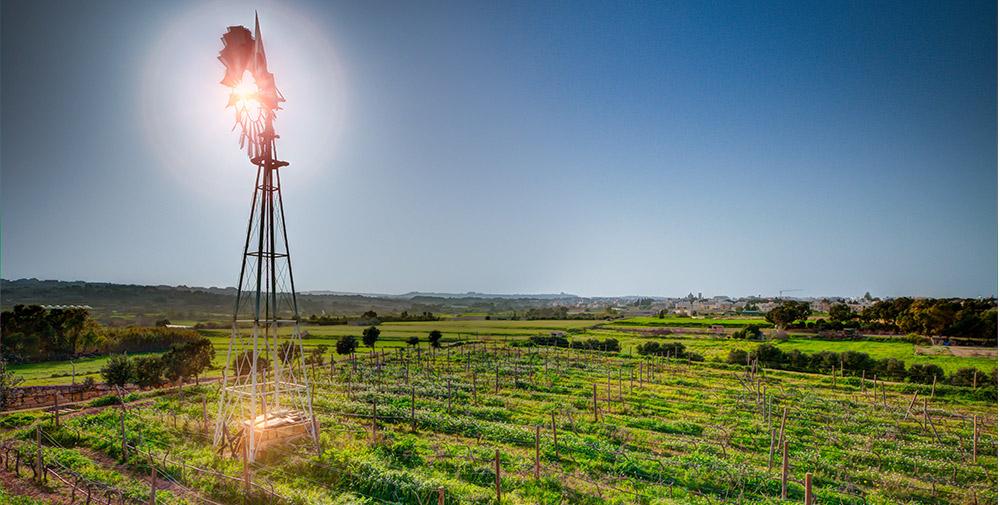Wine Tasting at Maria Rosa Wine Estate